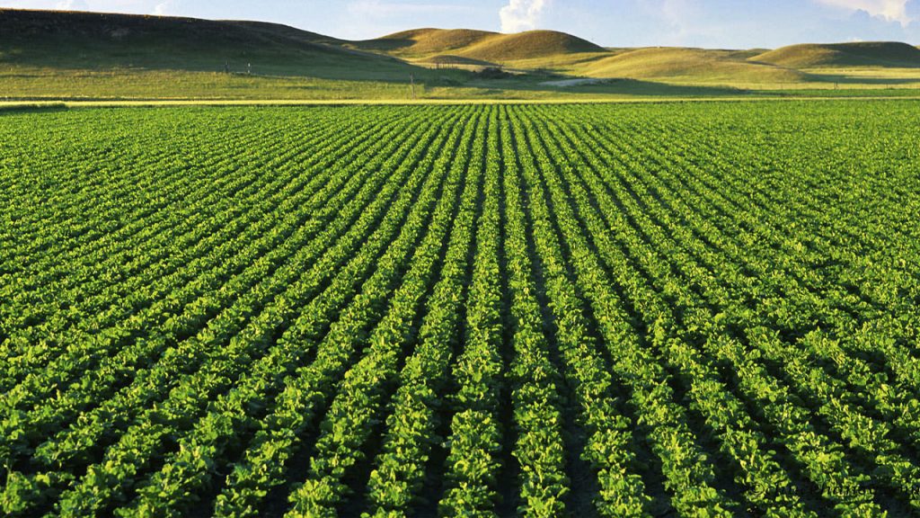 “Agroplatforma” yagona davlat axborot tizimi - AGRO.UZ