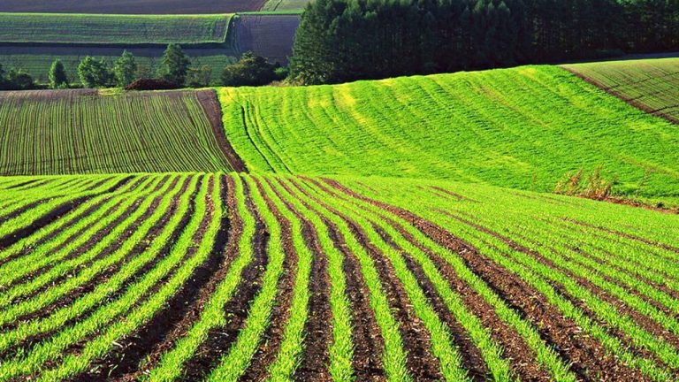 “Agrosubsidiya” yagona axborot tizimi - AGRO.UZ