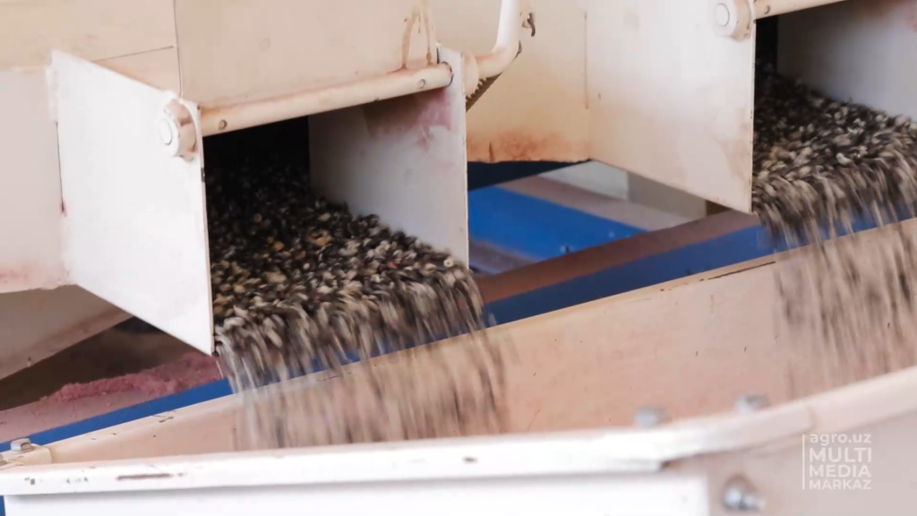 ILK INNOVATSION URUG‘CHILIK KLASTERI - AGRO.UZ